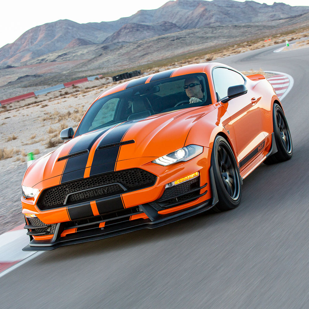 SHELBY | Previous Models (Sold Out)