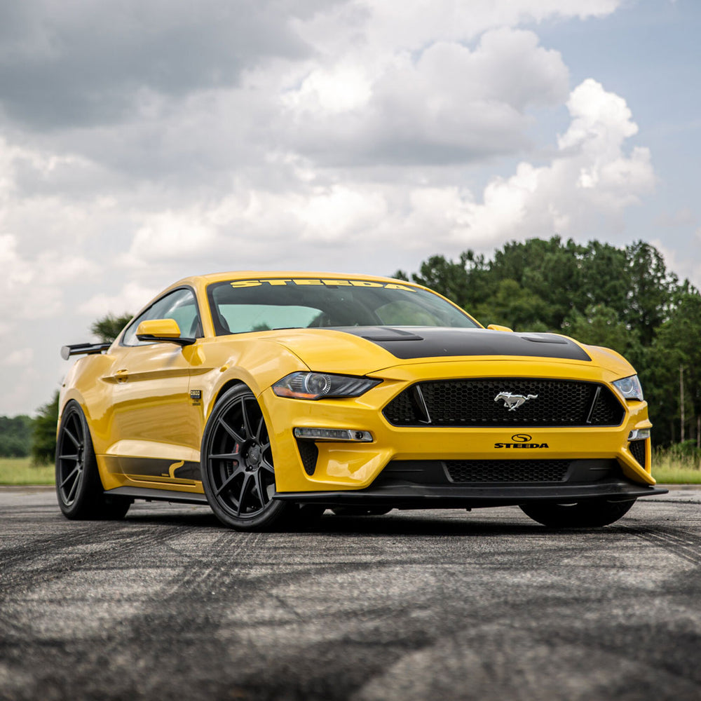 2018-2023 STEEDA Q500 ENFORCER