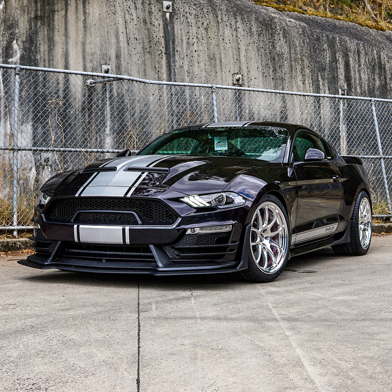 SHELBY | Current Models