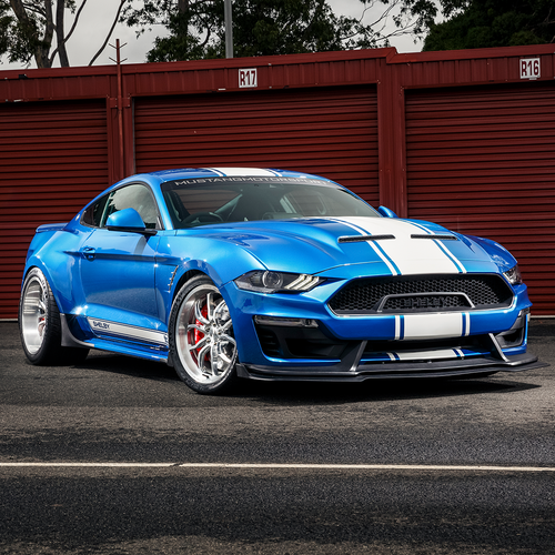 SHELBY | Current Models