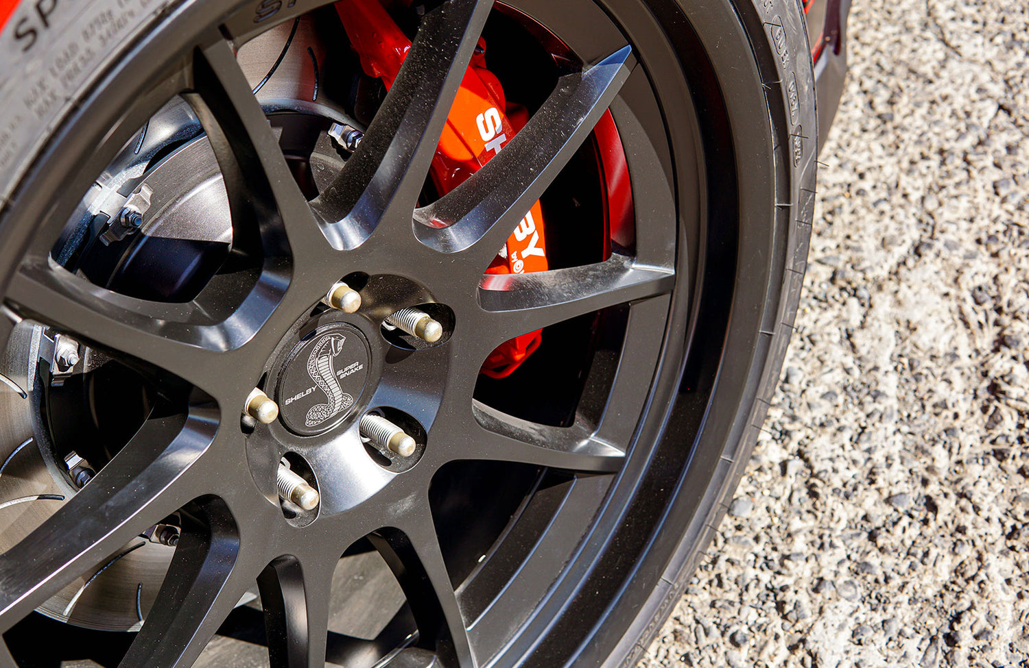 2021-2023 SHELBY SUPER SNAKE | WIDEBODY